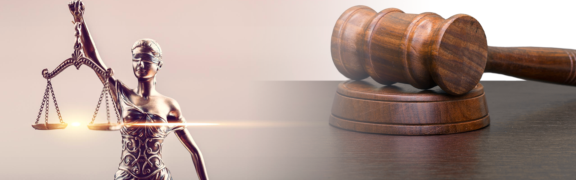 Criminal record check Service | BD Services